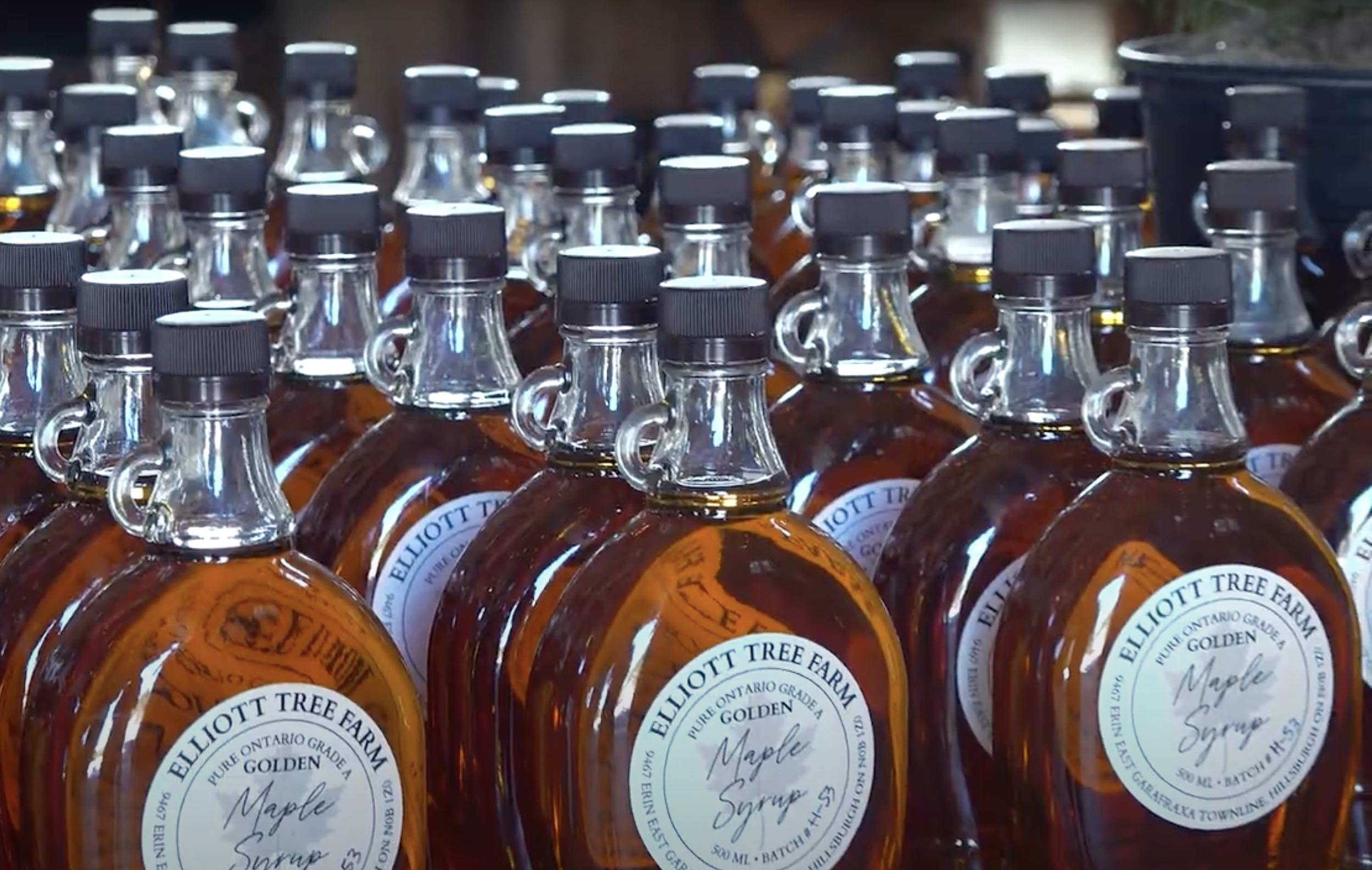 Elliott Tree Farm | Ontario Maple Syrup Store – elliotttreefarm